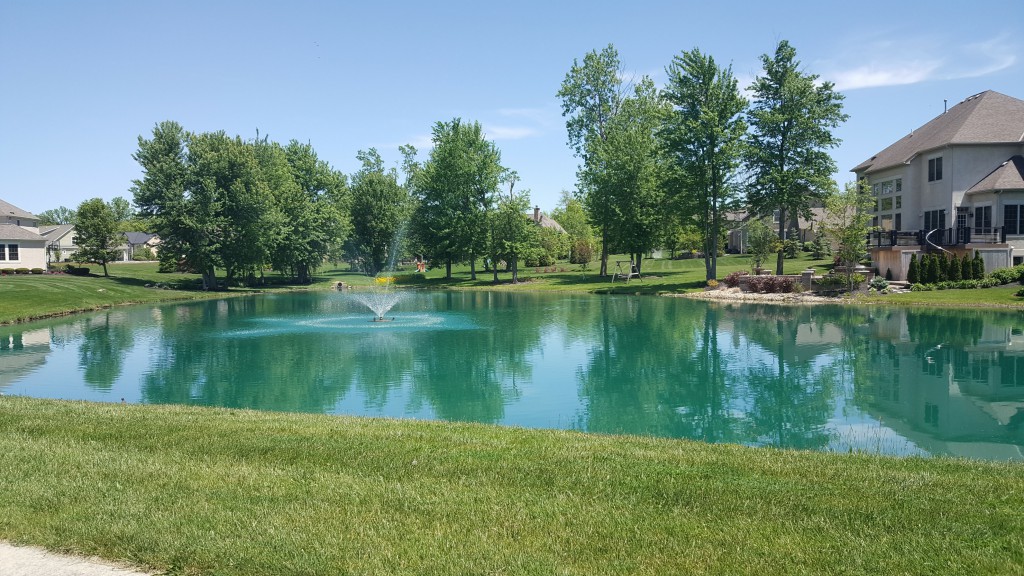 Virtual Pond Clinic Slated for May 5th - Soil and Water