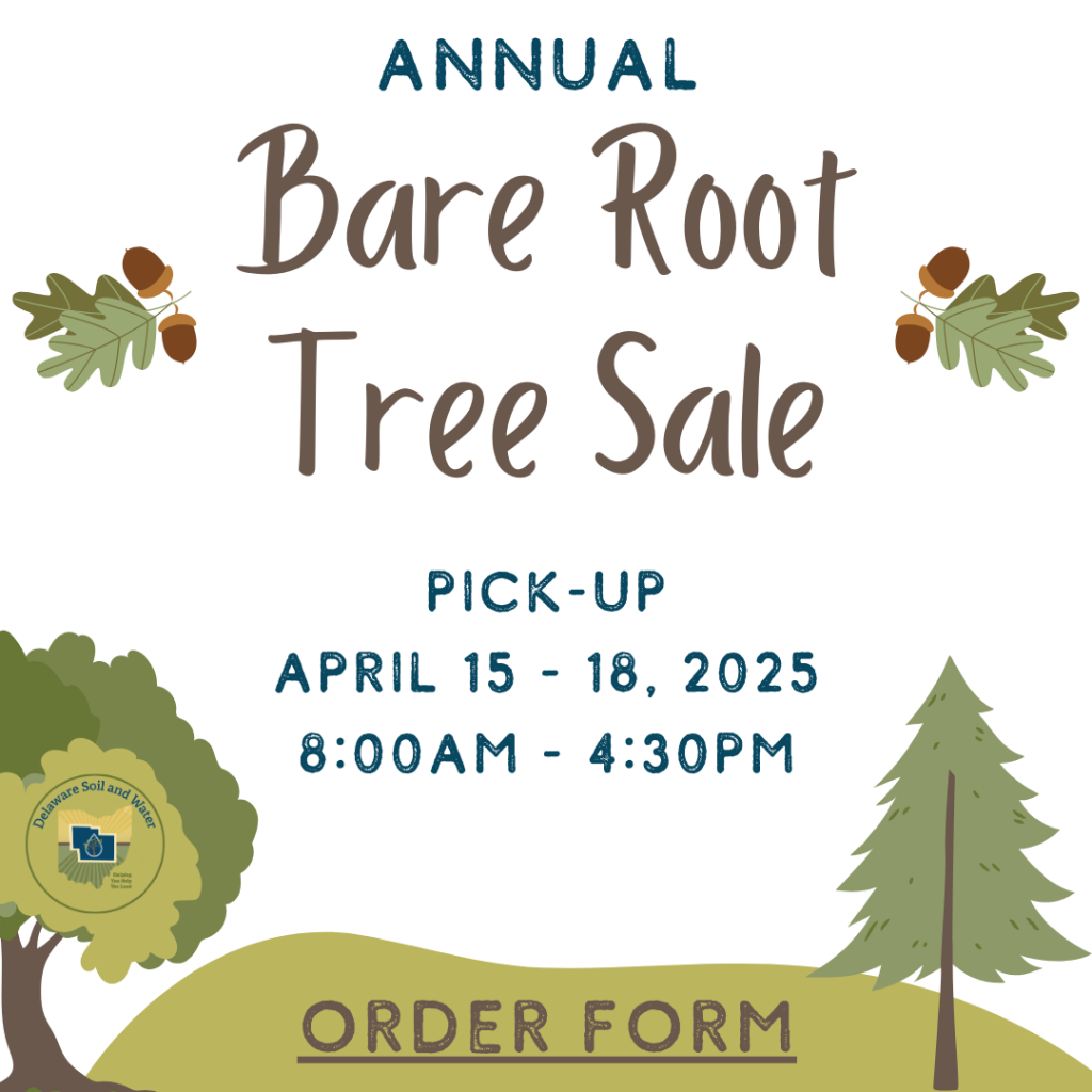 Tree Sale - Soil and Water